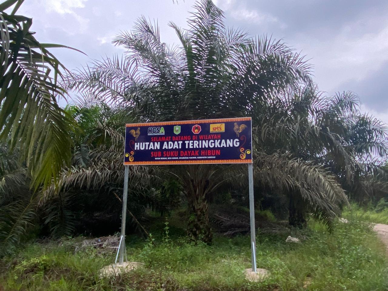 Menjaga Warisan Tak Tertulis Suku Dayak Hibun di Hutan Adat Teringkang ...